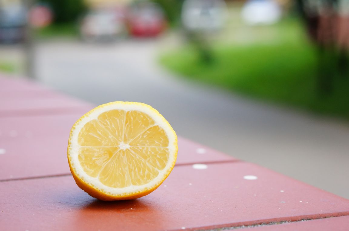 Lemon artifact: 285-year-old citrus sold at auction in England ...
