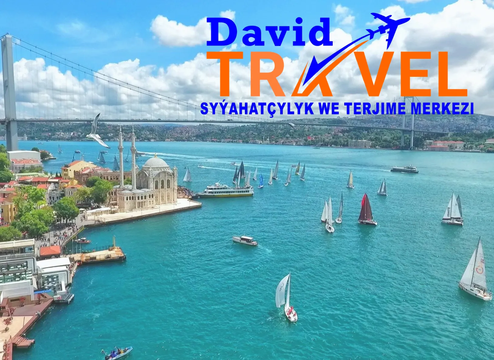 Туркомпания «David Travel» предлагает помощь в оформлении годовой визы ...