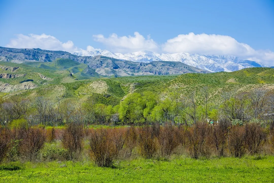 Туркменистан, интернет портал о культурной, деловой и развлекательной ...