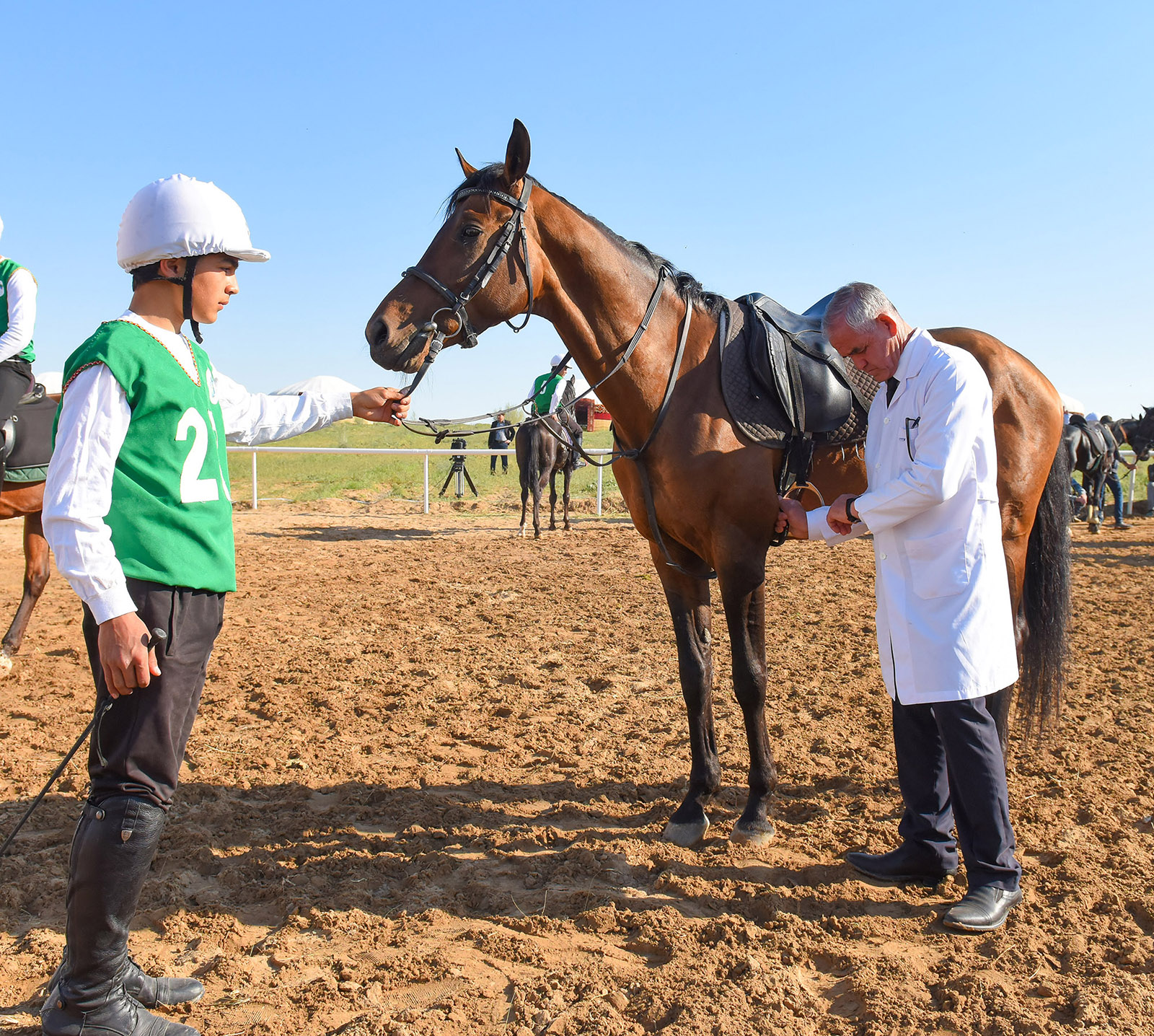 Photoreport: An equestrian race was held in Turkmenistan in honor of ...