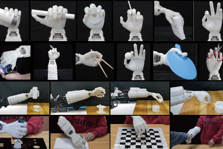 China unveils prosthetic hand with 33 modes of grasping objects ...