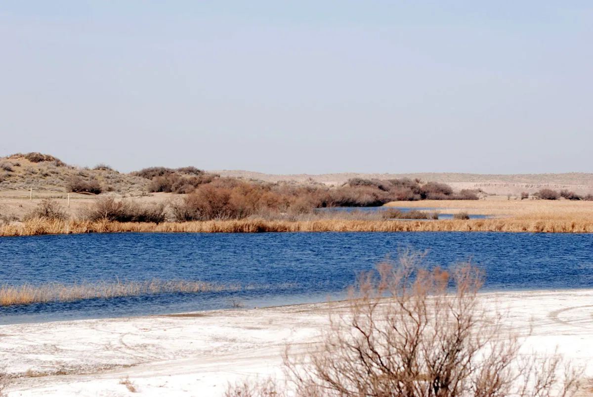 Turkmenistan intends to include preserved areas of Karakum desert in ...